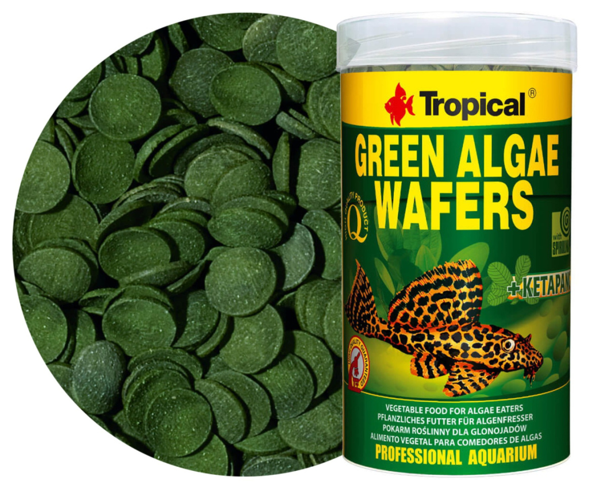 Tropical Green Algae Wafers 100ml 45g pokarm wafelki dla glonojadów ...